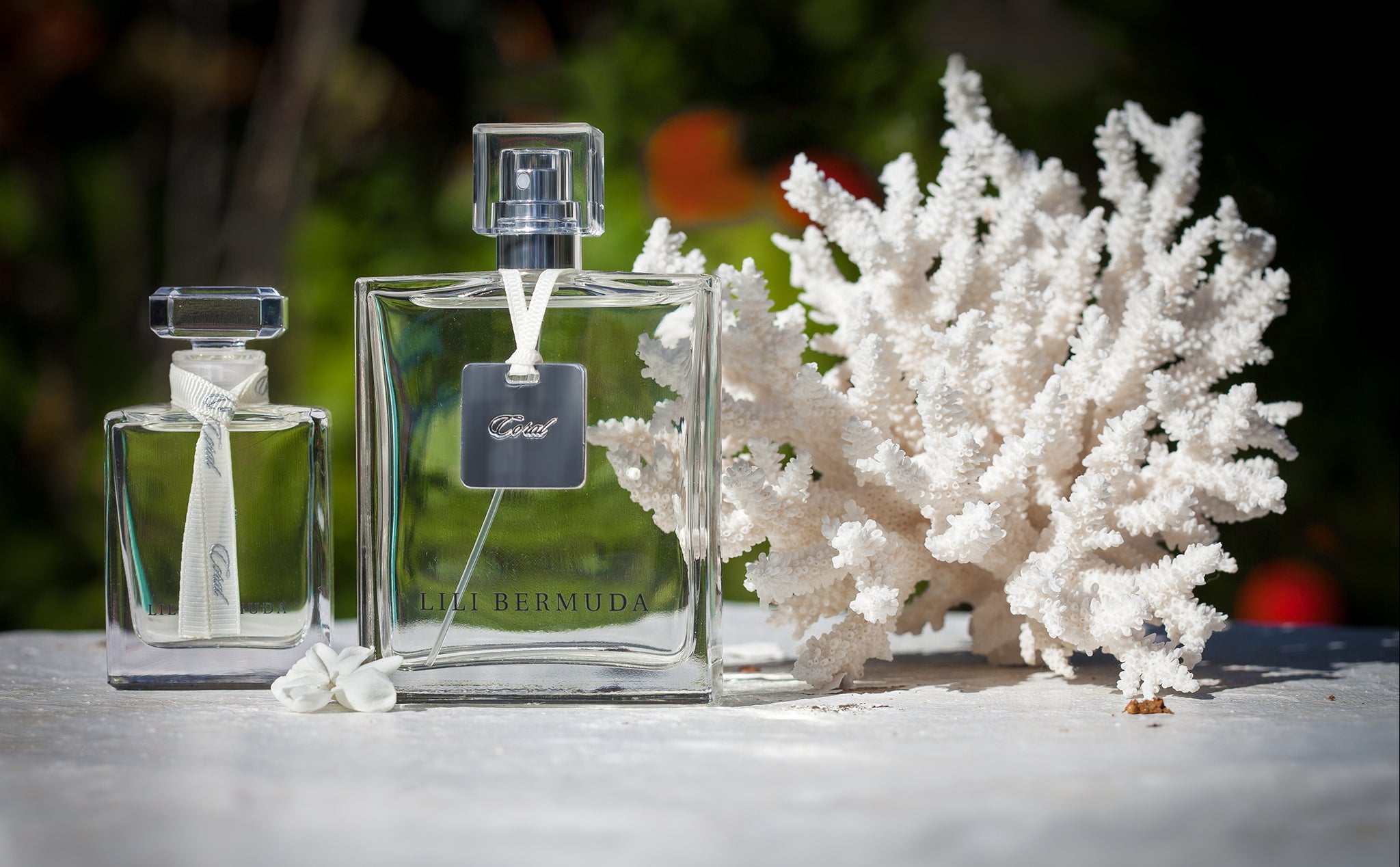 All these names, what do they mean?