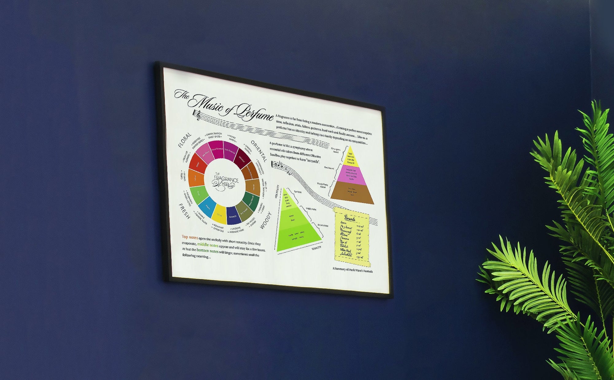 How do you distinguish between top-middle-base notes?