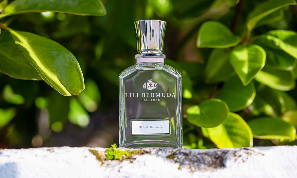 Bermudiana Collection